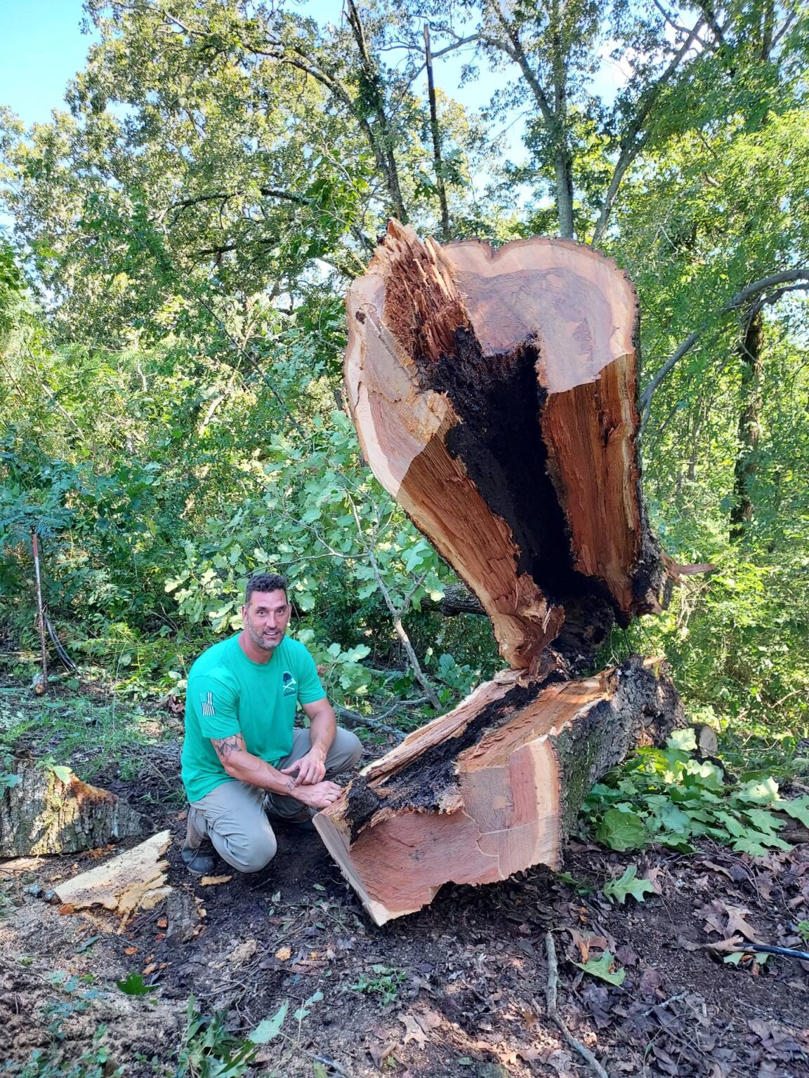 About Us | Premier Tree Service In Central Alabama – Alabama Tree & Land